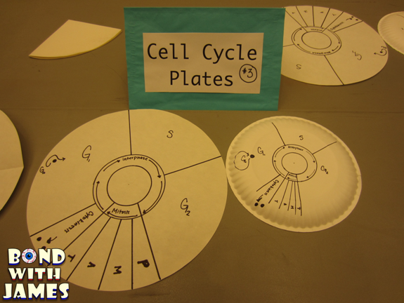 Bond with James: Engaging Students in Mitosis and Meiosis