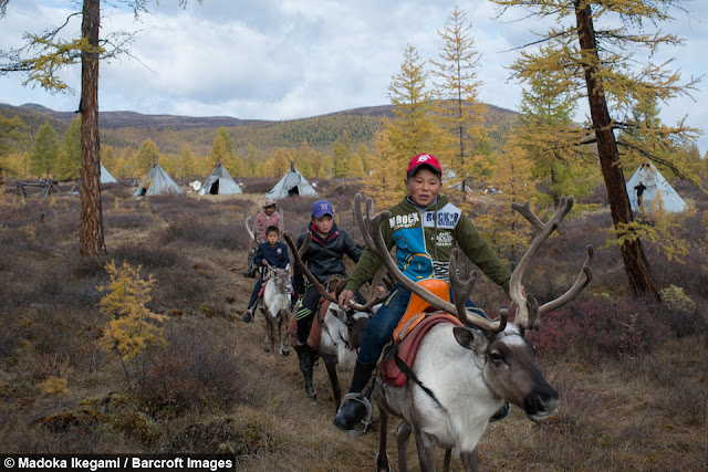 White Wolf : Fascinating photos of the last remaining nomadic groups of ...