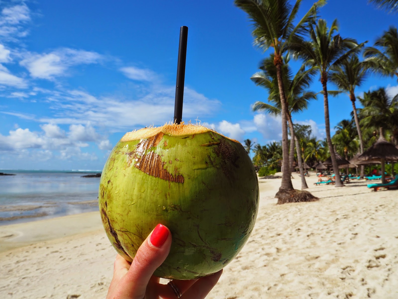 Travel - Honeymooning in Mauritius - Roses and Rolltops