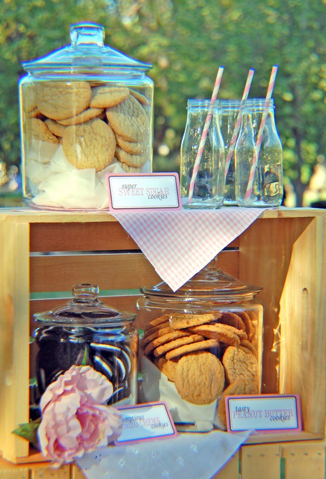 Sweeten Your Day Events: Milk & Cookies on the Farm Party