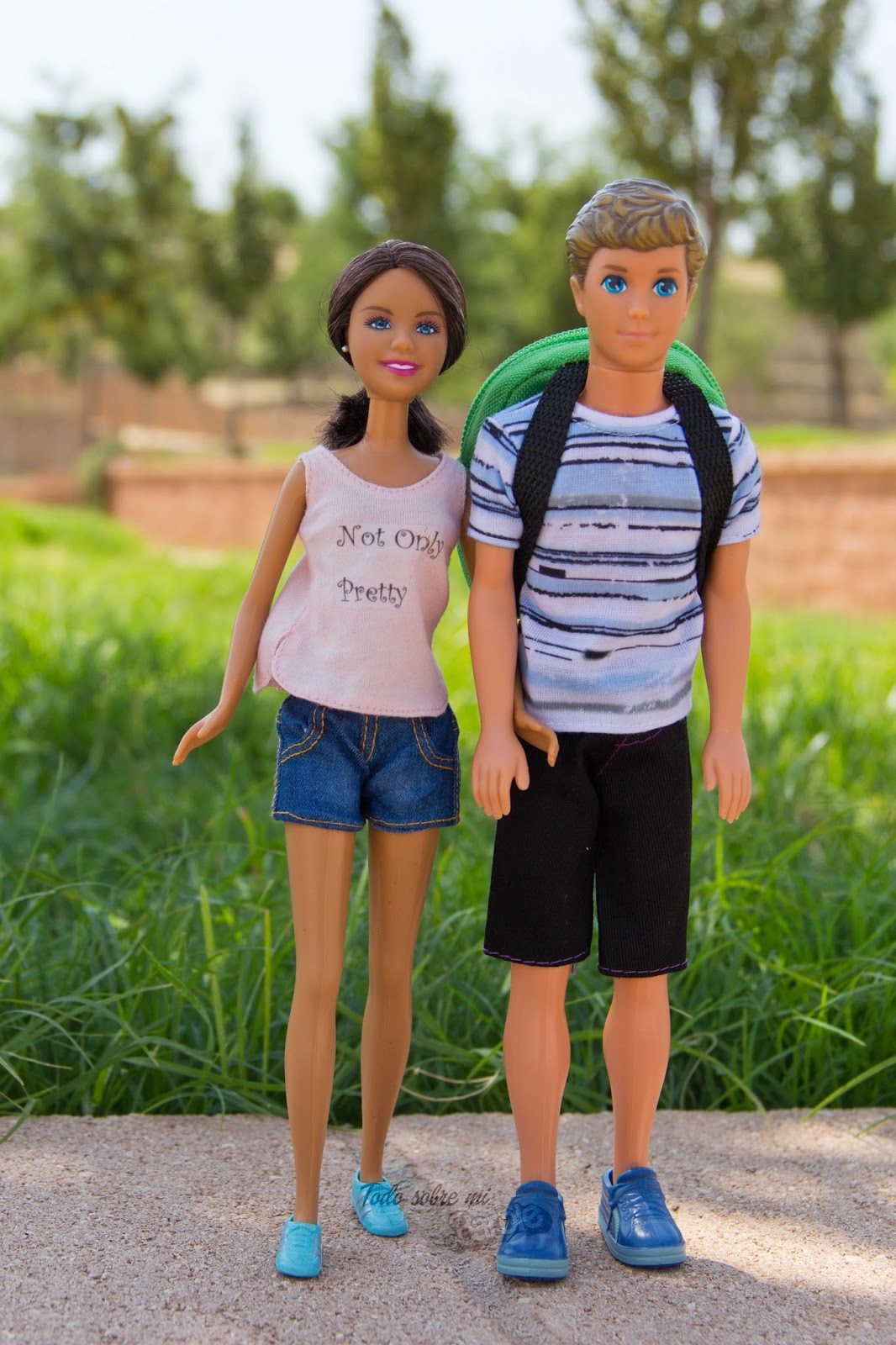 Todo sobre mi Barbie: Skipper y Kevin, el reencuentro