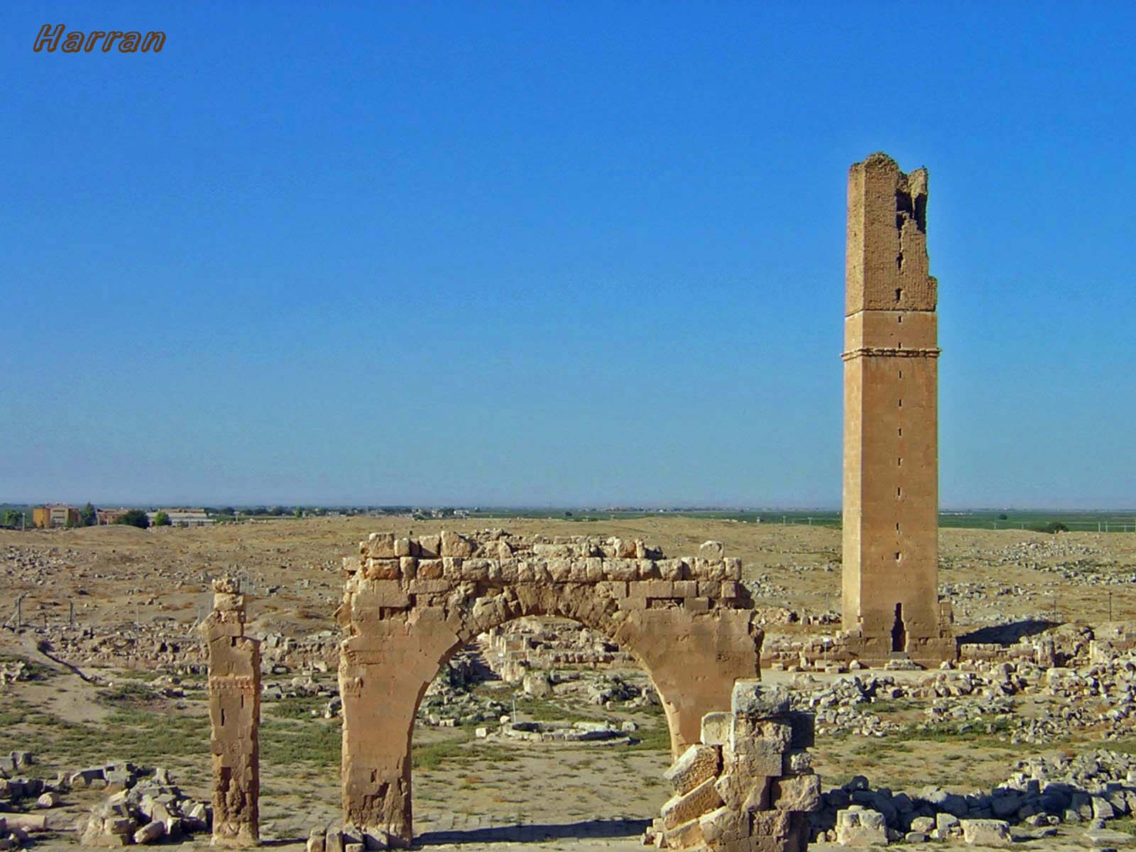 Megas Alexandros: The Battle of Gaugamela