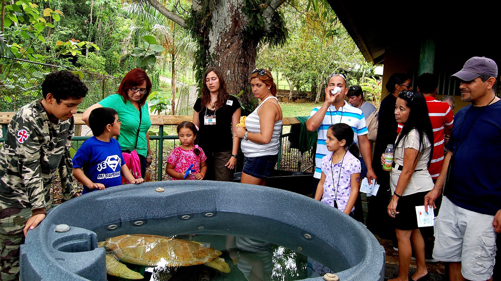 How Can You Help Endangered Animals - Danger Choices