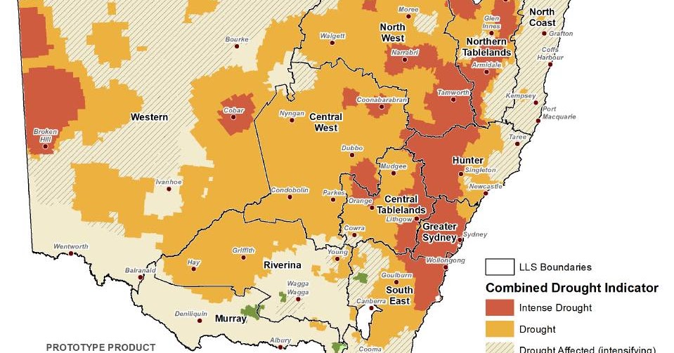 ON THE GRAPEVINE: Drought!