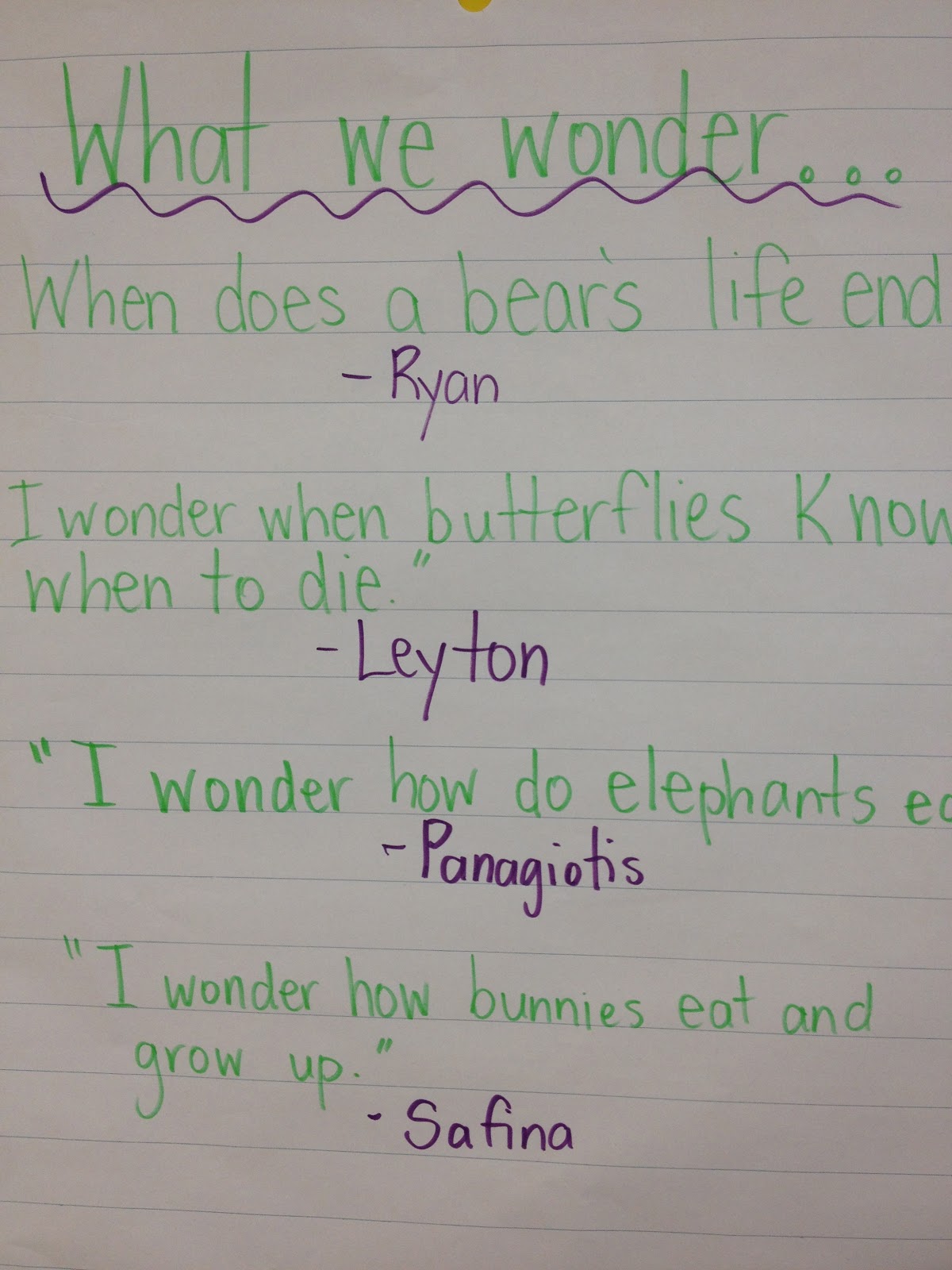 Learning to Create a Landscape of Wonder