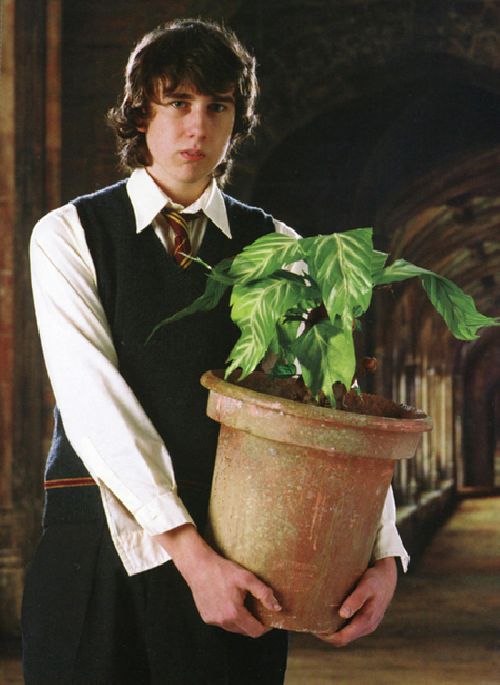 harry potter fan club GTO: ¿quien es tu personaje favorito?