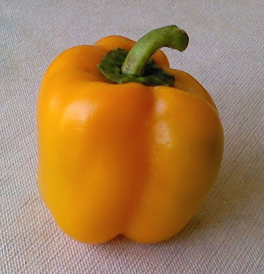 Foto Blog Puerto Rico: Primer Pimiento Morron Amarillo!