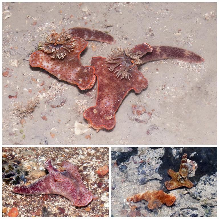 God's wonderful creation: How's Beting Bronok over two years?