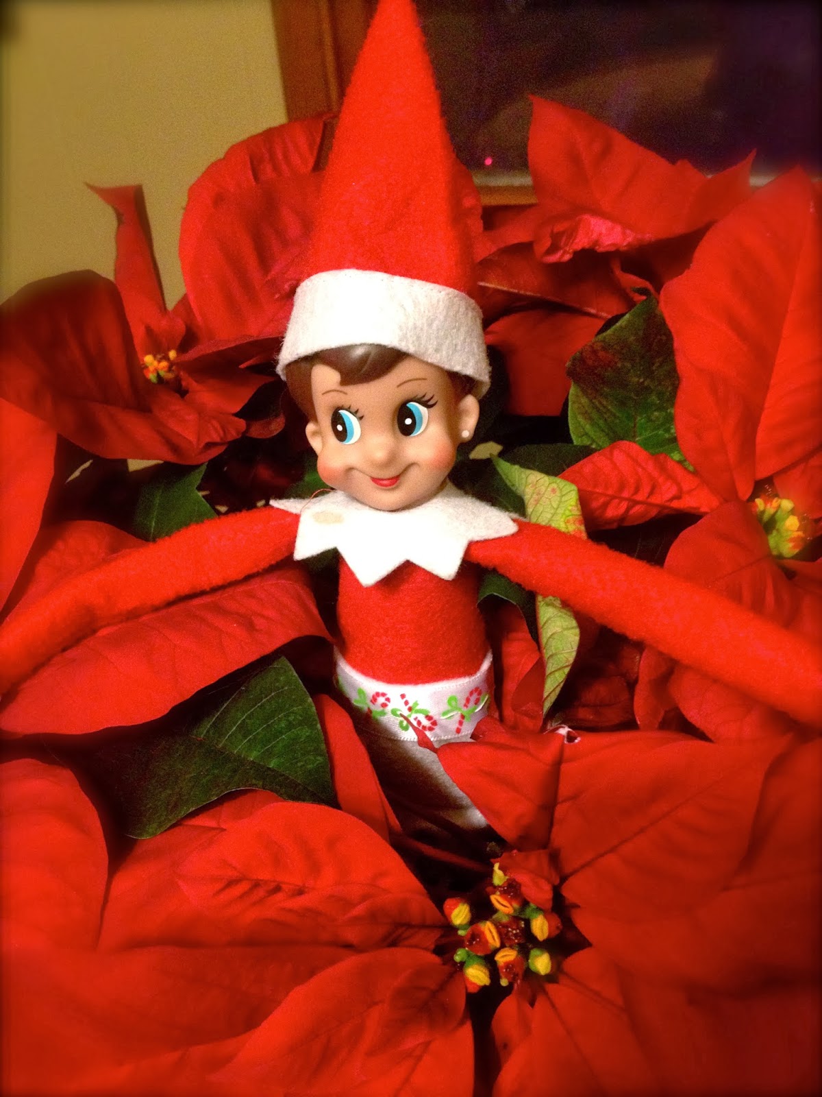 Diary of a Techie Chick: App / Tool of the Week .... Santa Spy Cam