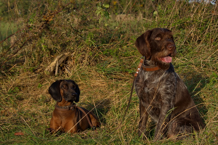 Jagd Blog - das etwas andere Jagdtagebuch: 04/2013