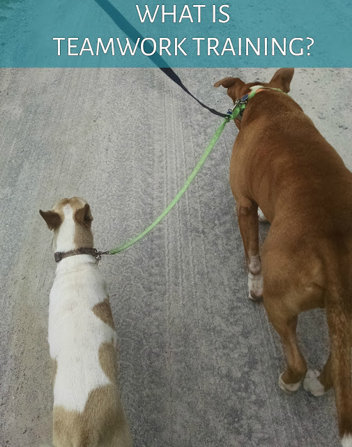 what is teamwork training?
