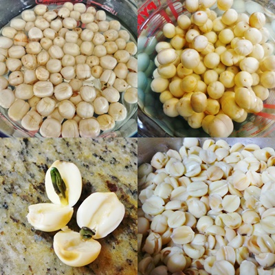 Navegando en mi Cocina: PASTA DE SEMILLAS DE LOTO