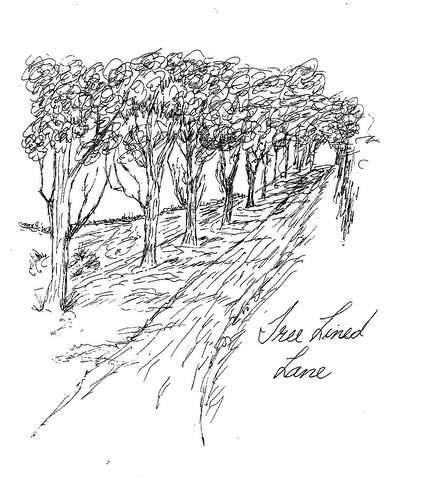 JIM MATHEWS' SKETCHES: Tree Lined Country Lane
