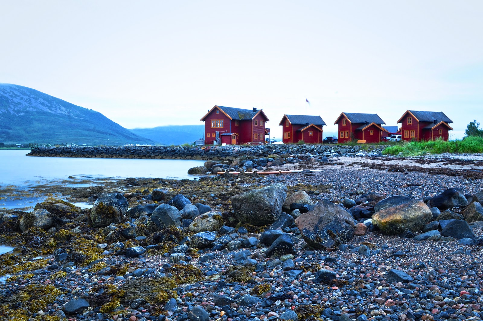 The Wayward Wanderer: Norway: Blue in Sortland