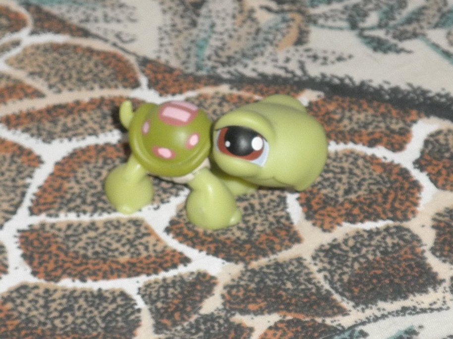 Collectomania: LPS Turtles