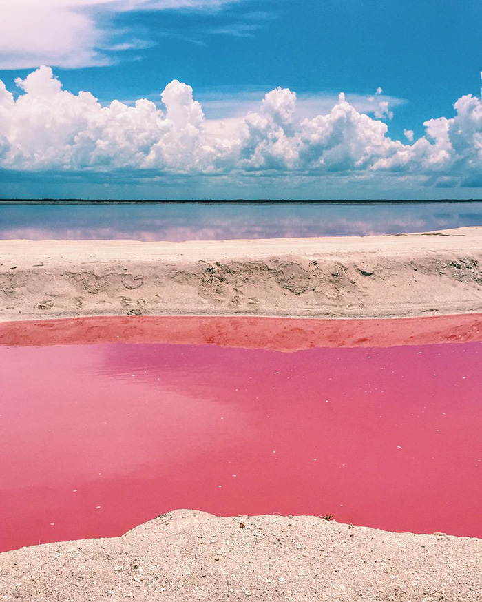 Esta lagoa natural rosa no México parece muito bonita para ser real ...