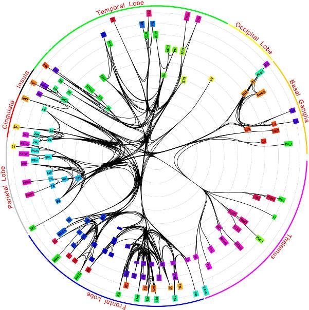 Global Dynamics Processes: the Pattern which Connects from KaliYuga to ...