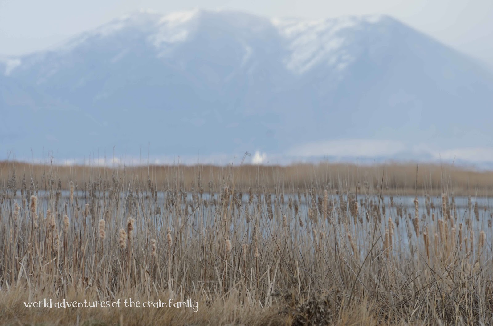 The World Adventures of the Crain Family: Bear River Migratory Bird Refuge
