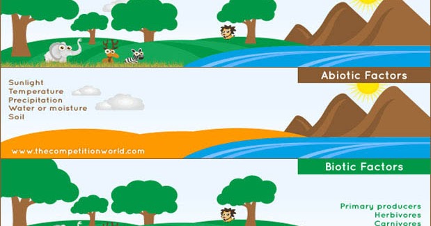 Biotic and Abiotic Components, Understanding, and Examples | Domain Biologi