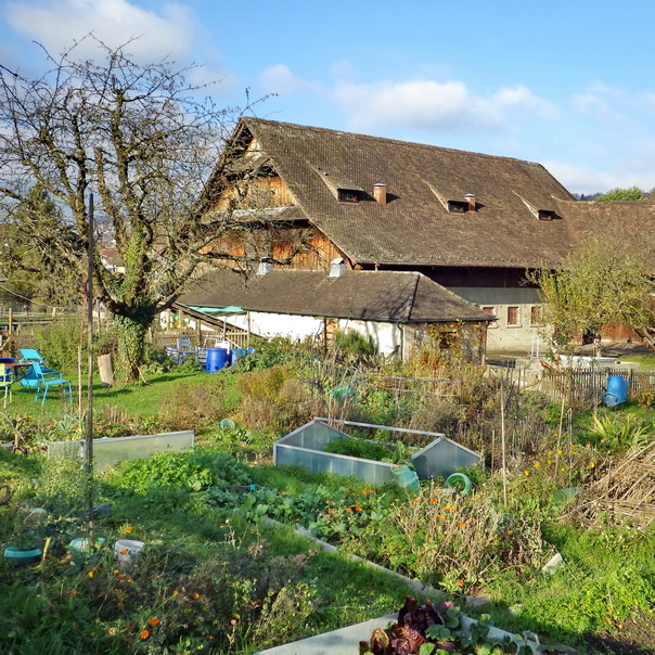 romantischeslandleben: Rückkehr zum Traum-Bauernhof...