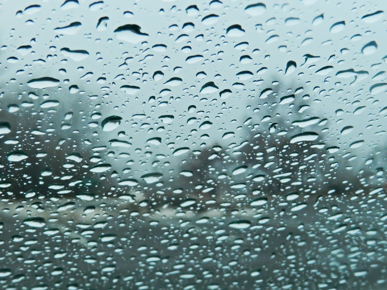 little maple leaf: Raindrops