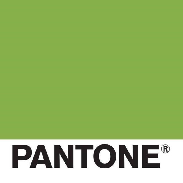 PANTONE: Verde Greenery | Cor Do Ano| - Carolina Sales