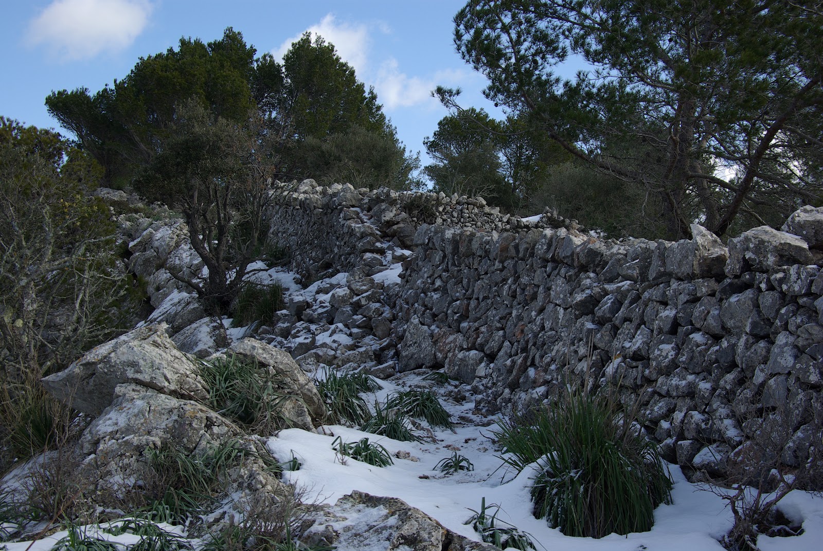 TRESQUES PER TRAMUNTANA: SA TALIA DE CAL REIS - PUIG DE CA´N LLENDERINA