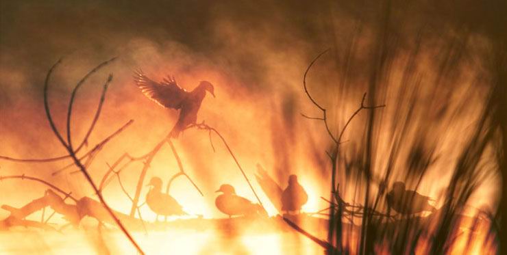 A M I L A K A S U N :::::::::: ORA-00227: corrupt block detected in control file