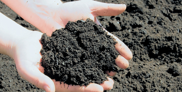 MATUMIZ YA MBOLEA ZA KUKUZIA KWENYE MAHINDI - KILIMO NA UFUGAJI