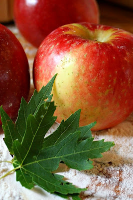 Jane's Sweets & Baking Journal: English Apple Shortcake with Brown ...