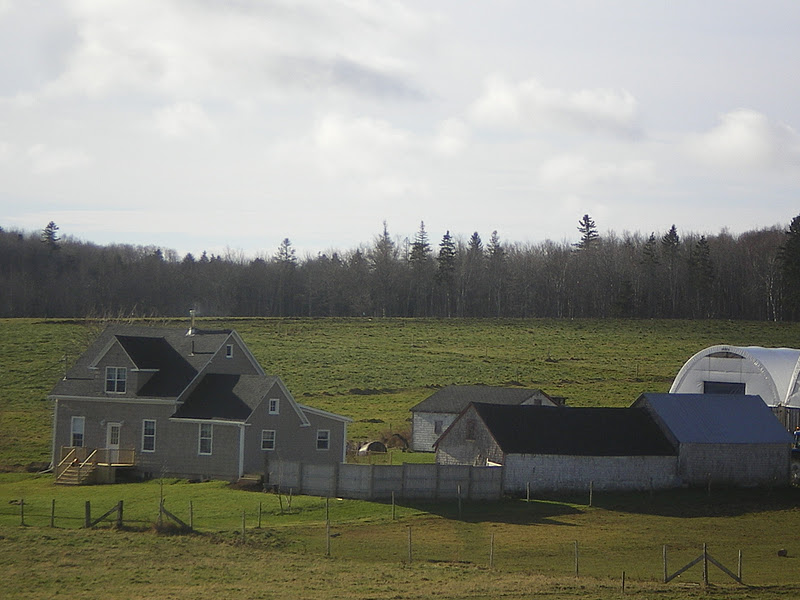 P.E.I. Heritage Buildings: Farmhouse, Springvale