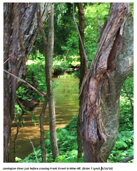 Data-Driven Viewpoints: Mine Hill, Headwaters of the Lamington River