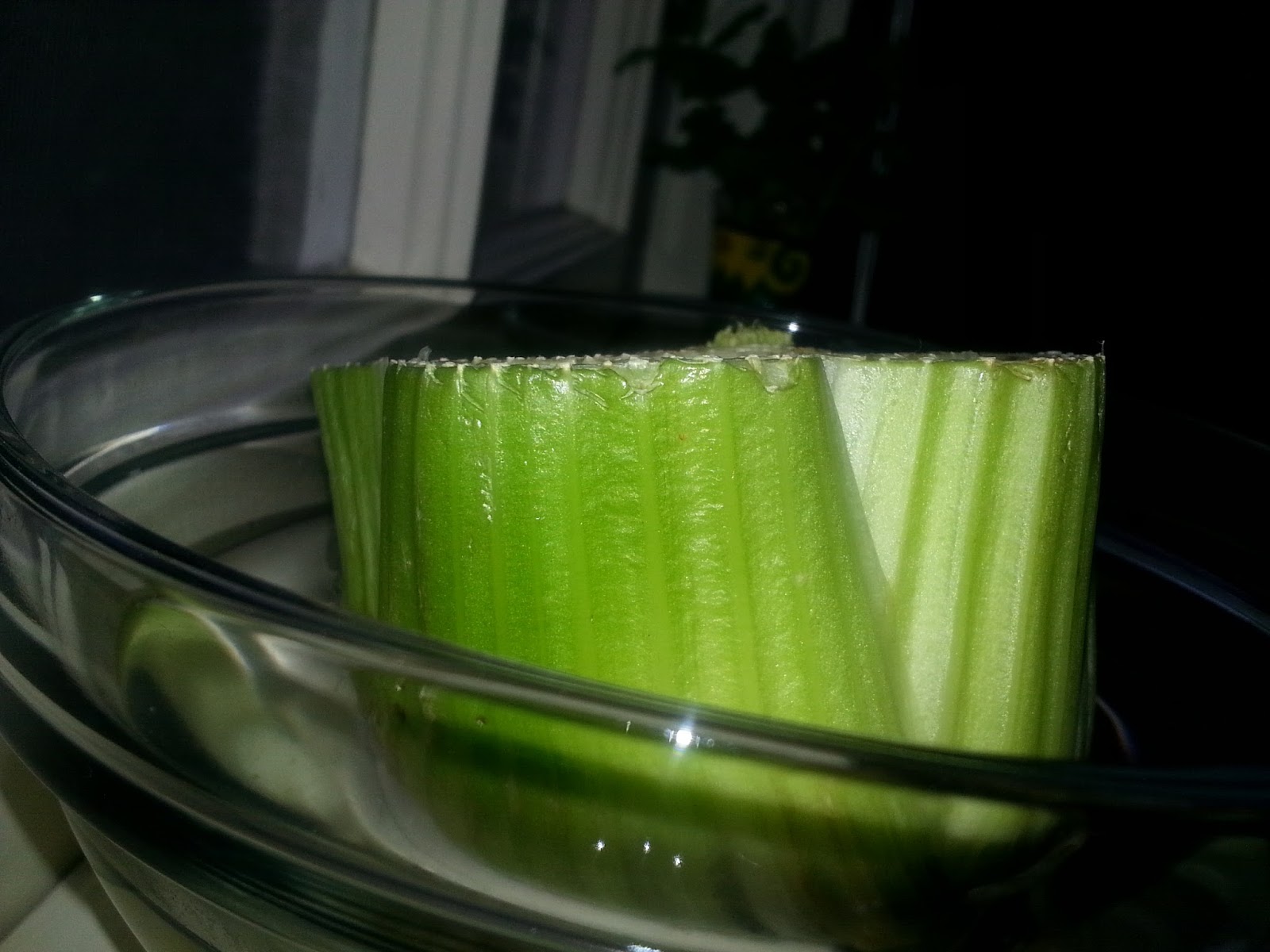 The Not Quite Homestead: The Art of Respawning Celery