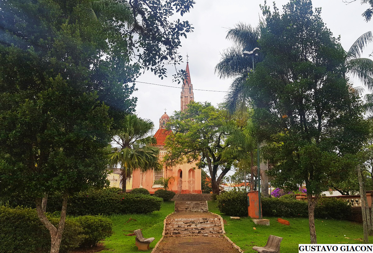 Viveiro Ciprest - Plantas Nativas e Exóticas: Grumichama ou Grumixama ...