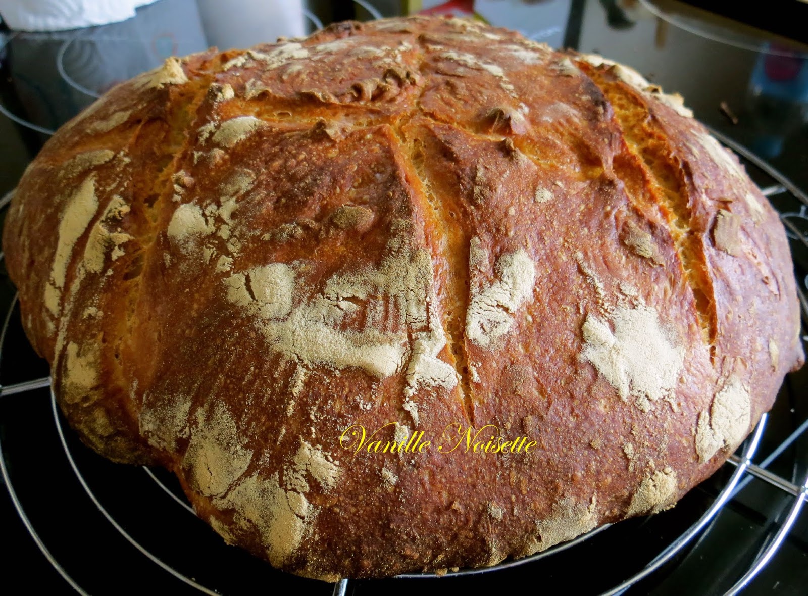 Vanille Noisette : PAIN BOULE