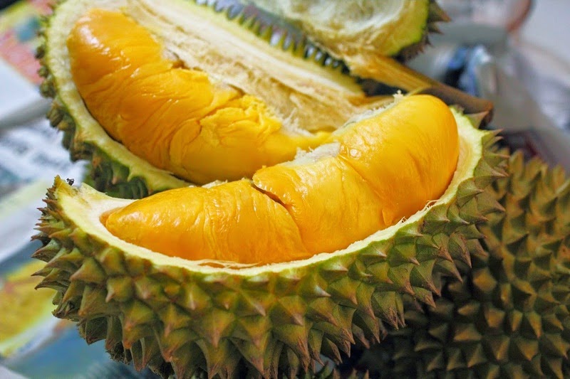 ALL INFORMATION: BUDI DAYA DURIAN MONTONG