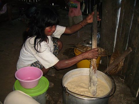 CUENTOS E HISTORIAS DE LA SELVA: EL MASATO