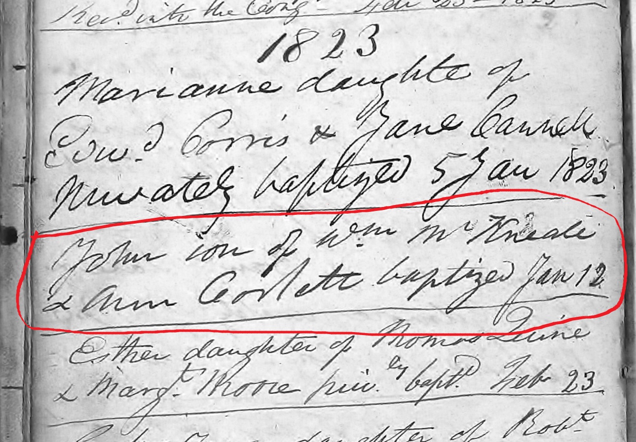 I Dig My Roots and Branches: John Corlett McNeil