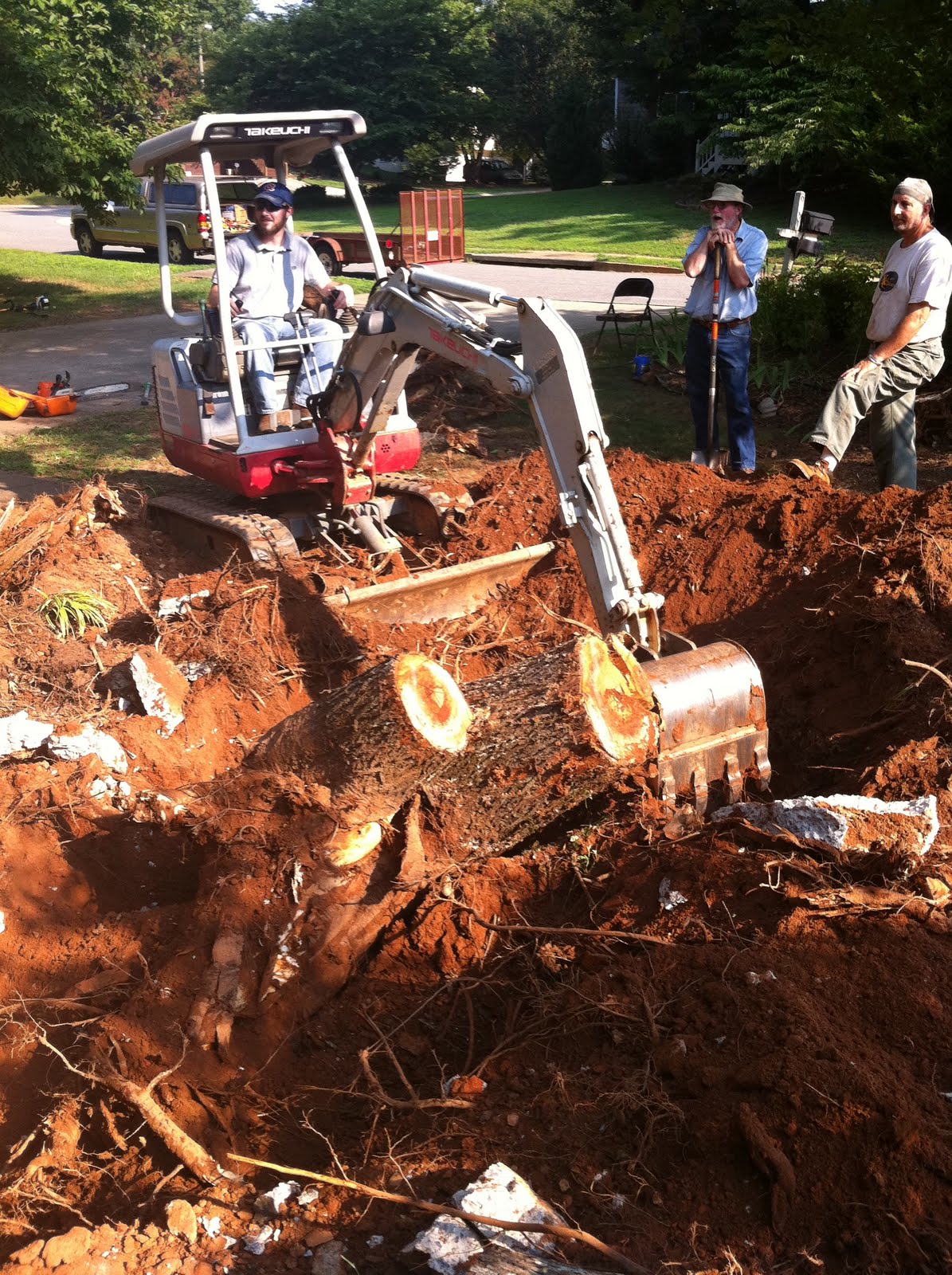 Matt and Jamie's World: Timber the falling tree