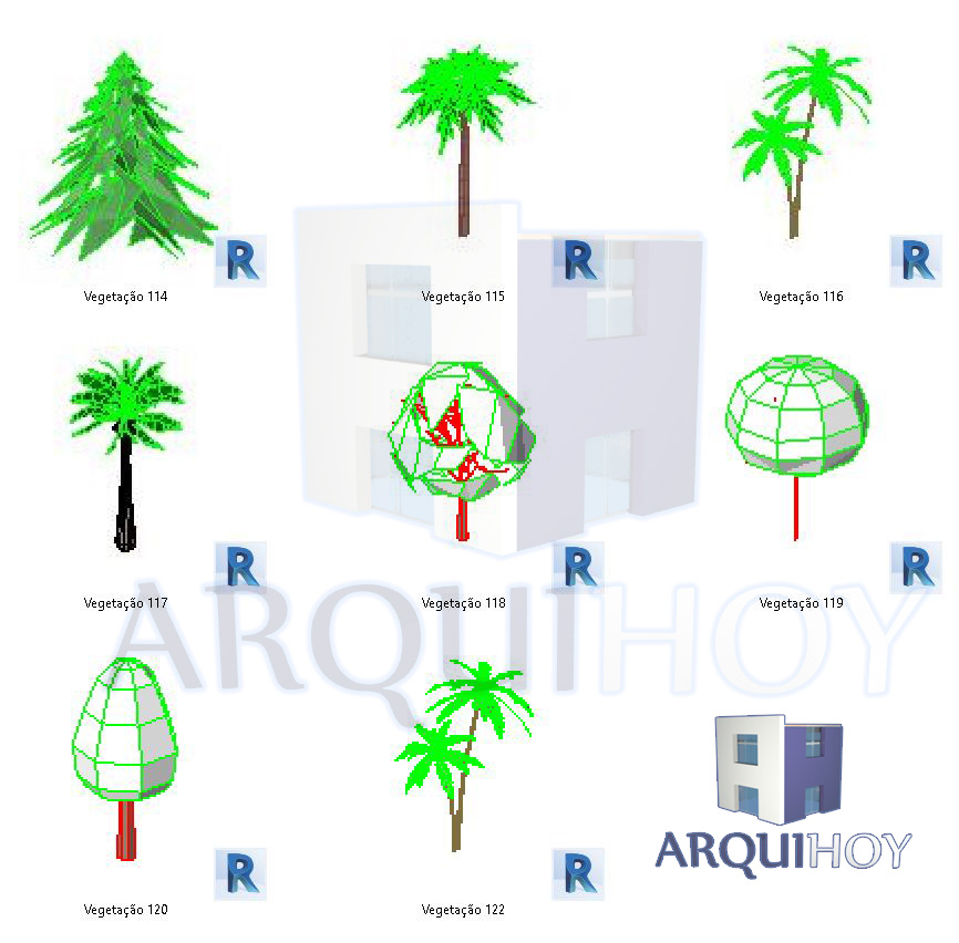 Familia Plantas Volumetricas / Family Plants Volumetric (RFA ...