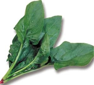 Propiedades de la espinaca | Salud