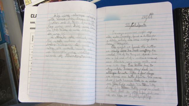 Fourth Grade Flipper: Tried It Tuesday (Shared Writing Journals!)