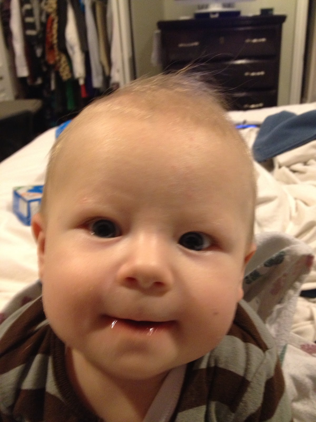 The Crazy Lives of Newlyweds