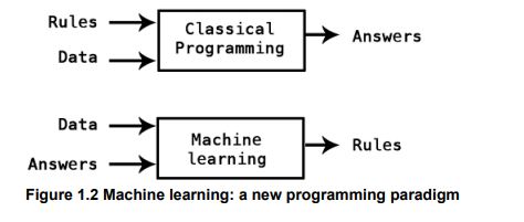Data Science, Database, AI Startups and Domain Learning's (Video-Image ...