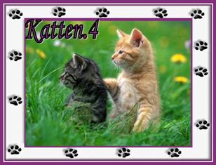 Jan's PowerPoints ..: Katten.3 & Katten.4
