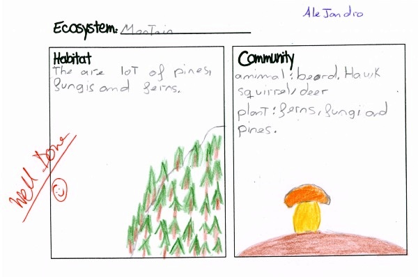 SCIENCE IN THE SCHOOL: ECOSYSTEMS