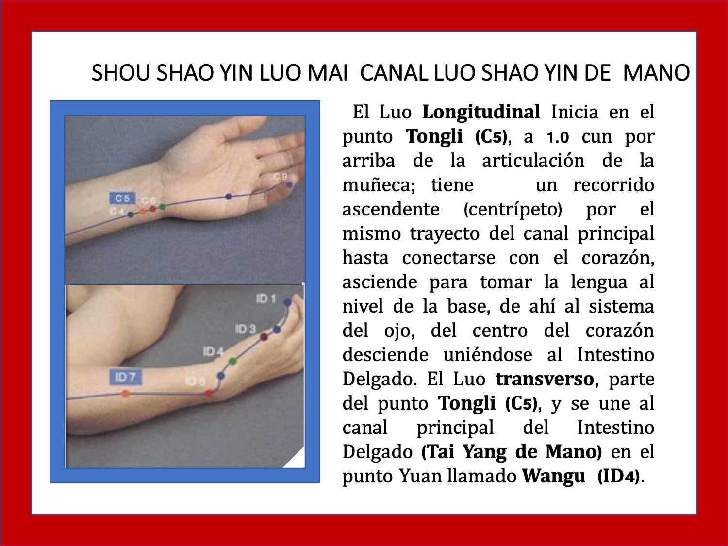 SISTEMA DE CANALES DE CORAZON: SHAOYIN DE LA MANO (SHOU SHAO YIN JING LUO