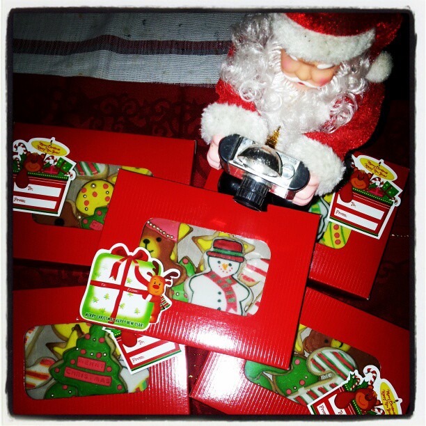 My Christmas goodies