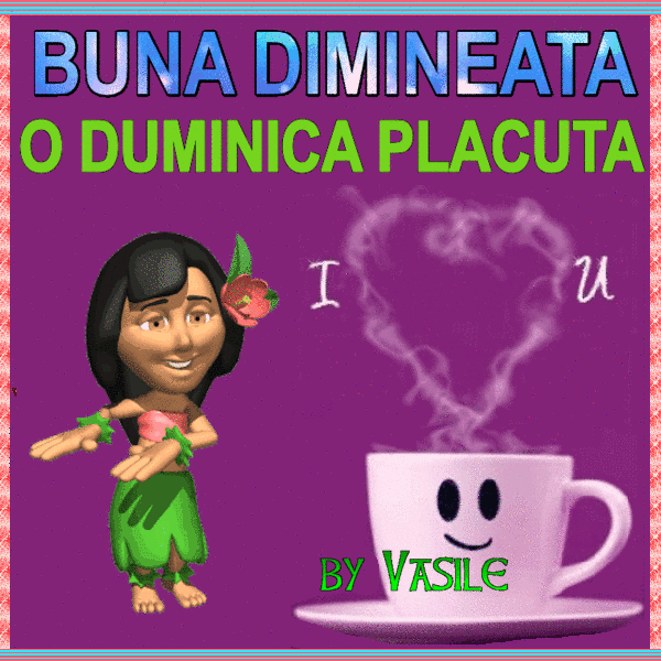 imaginianimate: O DUMINICA PLACUTA