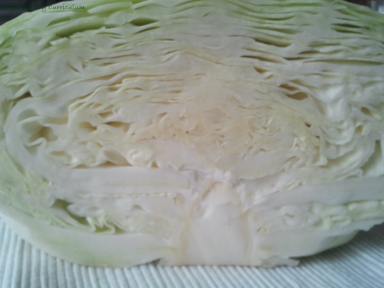 My Culinary Curriculum: Choudou ou chou plat braisé aux lardons ...